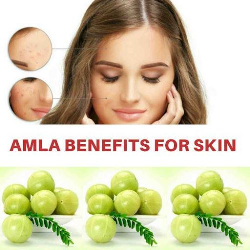 10 Reasons to Eat Amla Everyday: Benefits of Amla - Charakveda