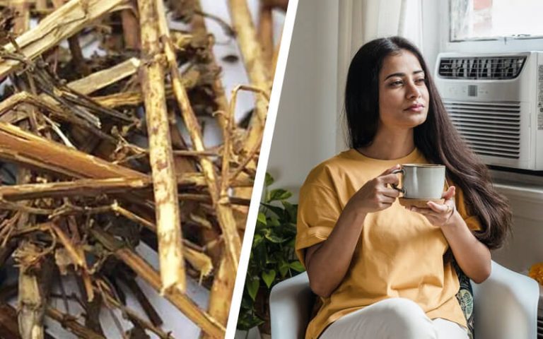 Chirata Benefits - It's Antipyretic, Analgesic & other Health Benefits