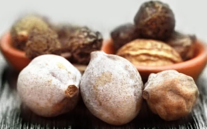 Harad Or Haritaki: Some Amazing Health Benefits Of Haritaki | Charakveda