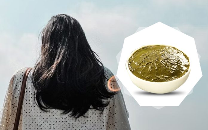 Benefits of Henna and Henna Oil | Charakveda